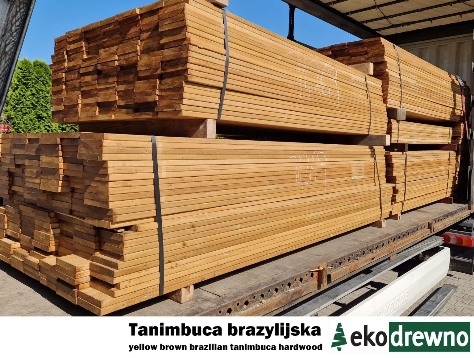 Tanimbuca brazylijska (Yellow Brown Brazilian Tanimbuca Hardwood)